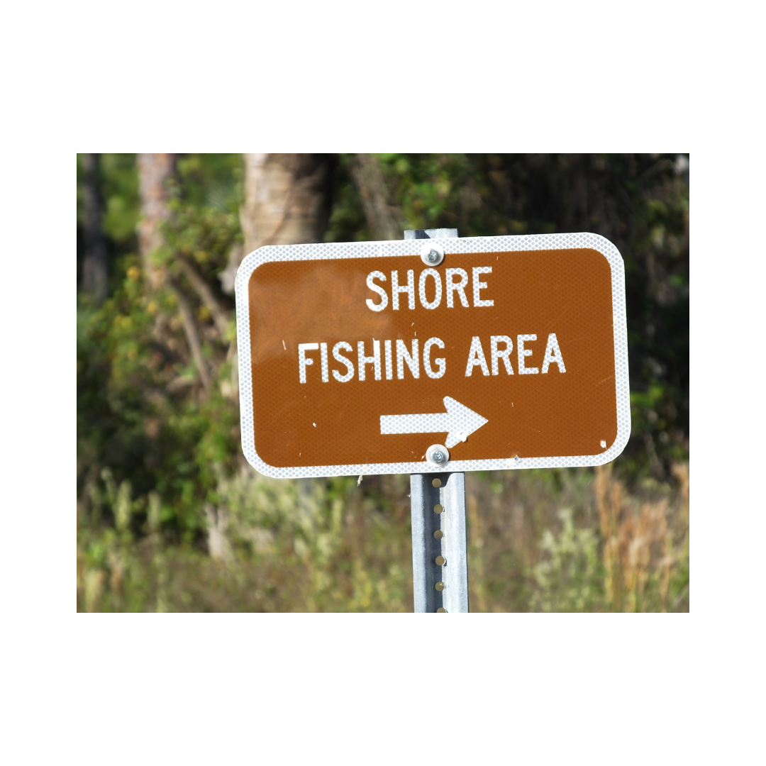 Tips for Fishing from Bridges, Piers and the Beach - FishVerify