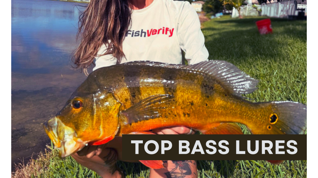 Fishing in Cold Weather? Try These Proven Bass Lures - FishVerify
